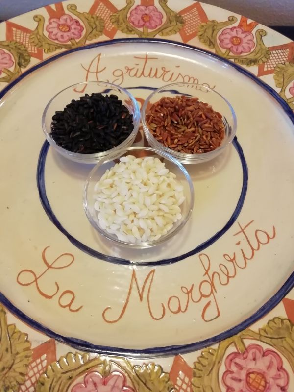 Il Pranzo di MargheRita: il Riso - aalamargherita.com
